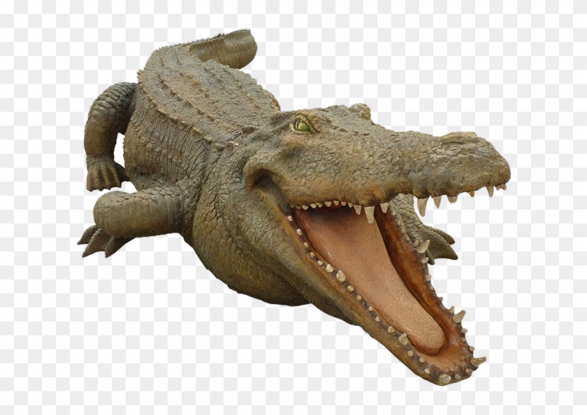 Crocodile Free Png Transparent Background Images Free - Krokodil Png ...