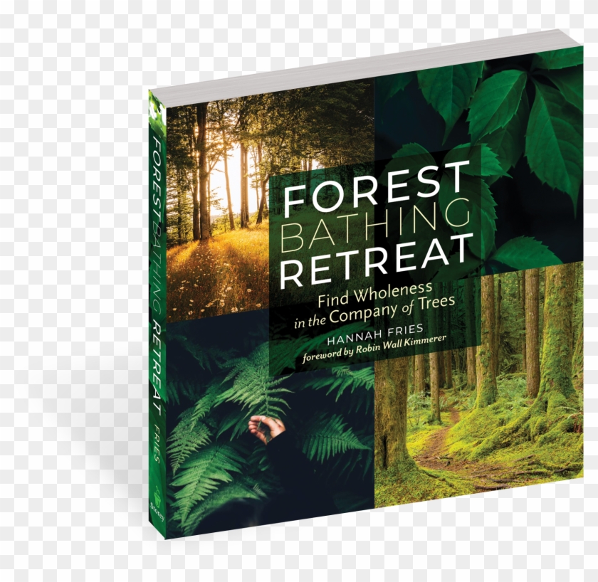 Forest Trees Png, Transparent Png - 1628x1508(#3163211) - PngFind