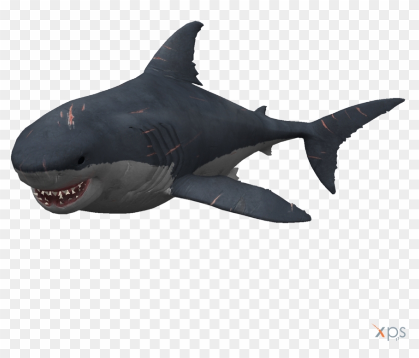 The Depth Hammerhead By - Gmod Megalodon, HD Png Download - 894x894 ...