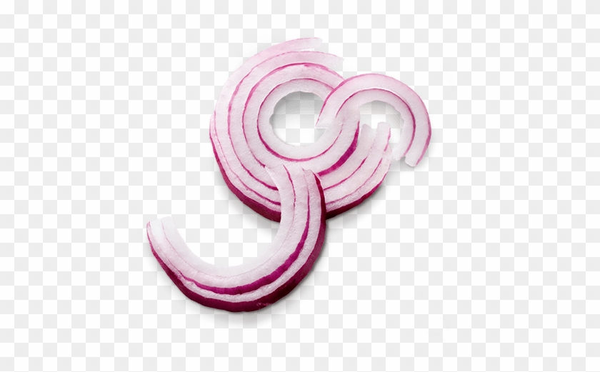 Onion Slice - Onion Slice Png, Transparent Png - 580x540(#321093) - PngFind