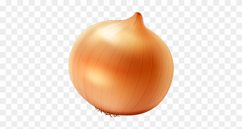 Single Onion Free Png Image - Yellow Onion, Transparent Png - 1003x469 ...