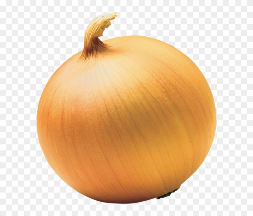 Onion Png Free Download - Yellow Onion Png, Transparent Png - 600x638 ...