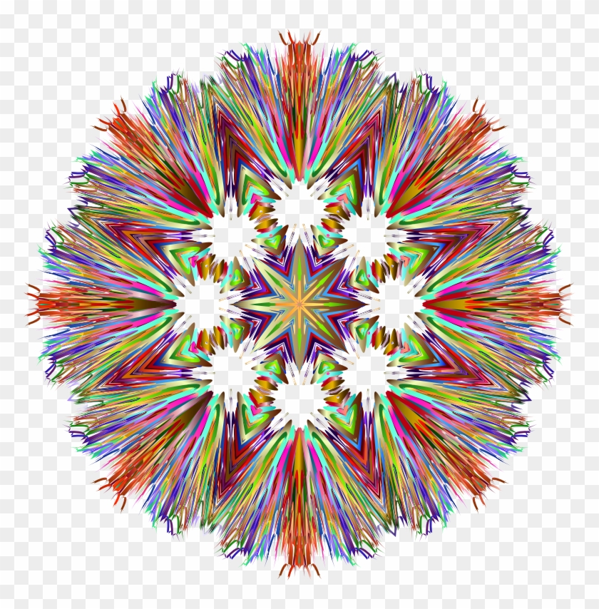 Medium Image - Circle, HD Png Download - 774x774(#326753) - PngFind