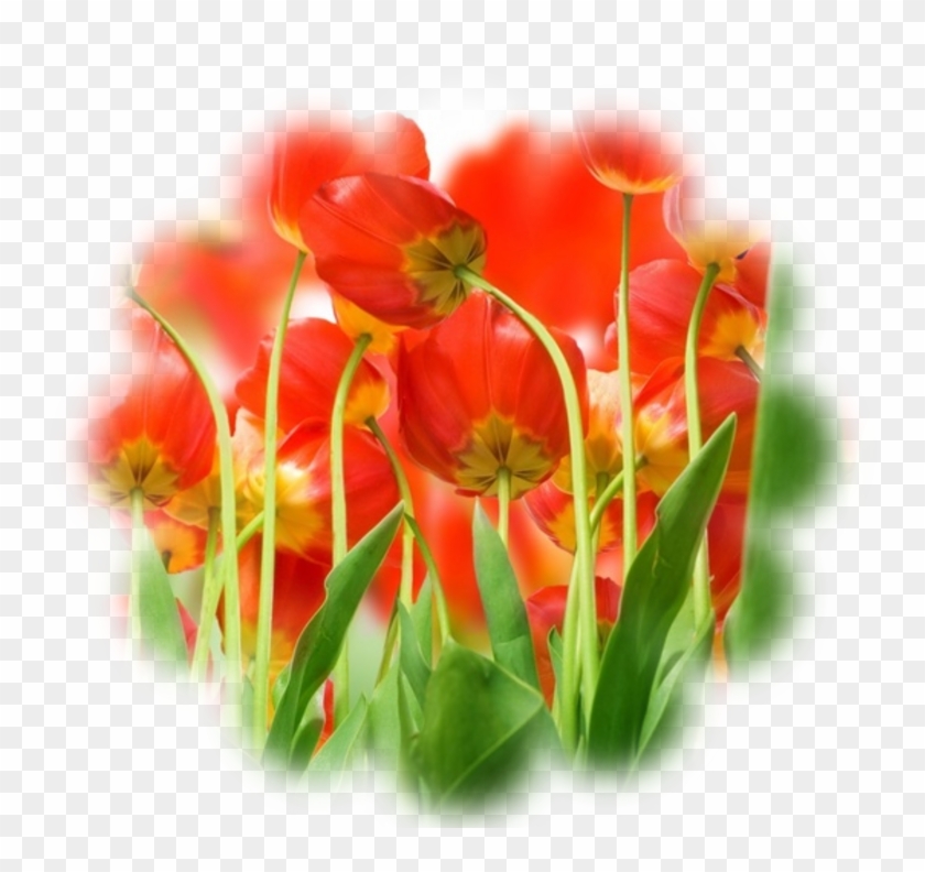 8 Trim Images - Maa Durga Image With Flowers, HD Png Download - 754x712 ...