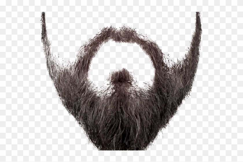 Realistic Clipart Beard - Transparent Background Beard Png, Png ...