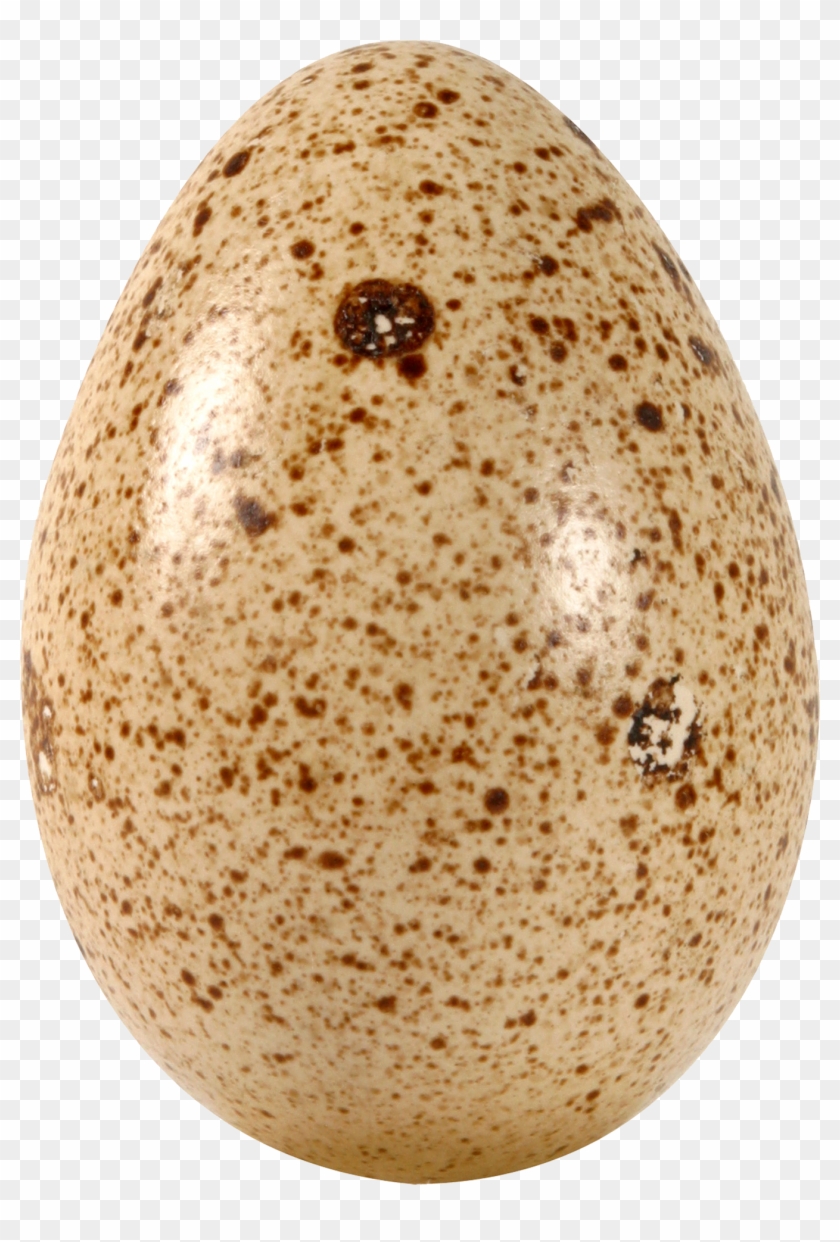 Eggs Png Picture - Quail Egg Transparent Background, Png Download ...
