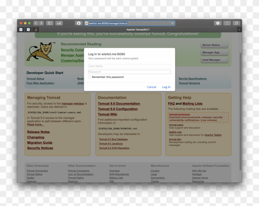 User Image - Apache Tomcat, HD Png Download - 2396x1804(#334919) - PngFind