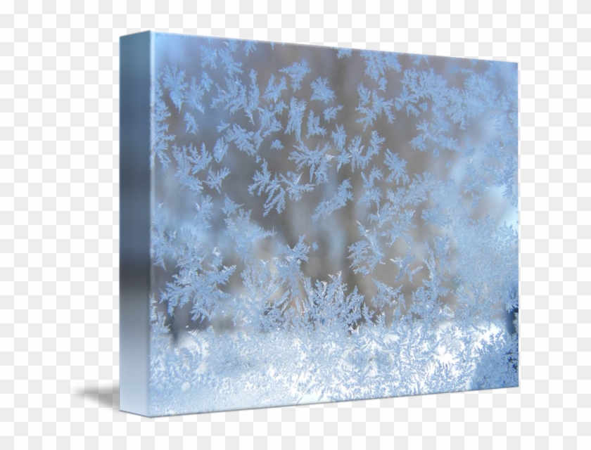 Frost On A Window, HD Png Download - 650x560(#336670) - PngFind