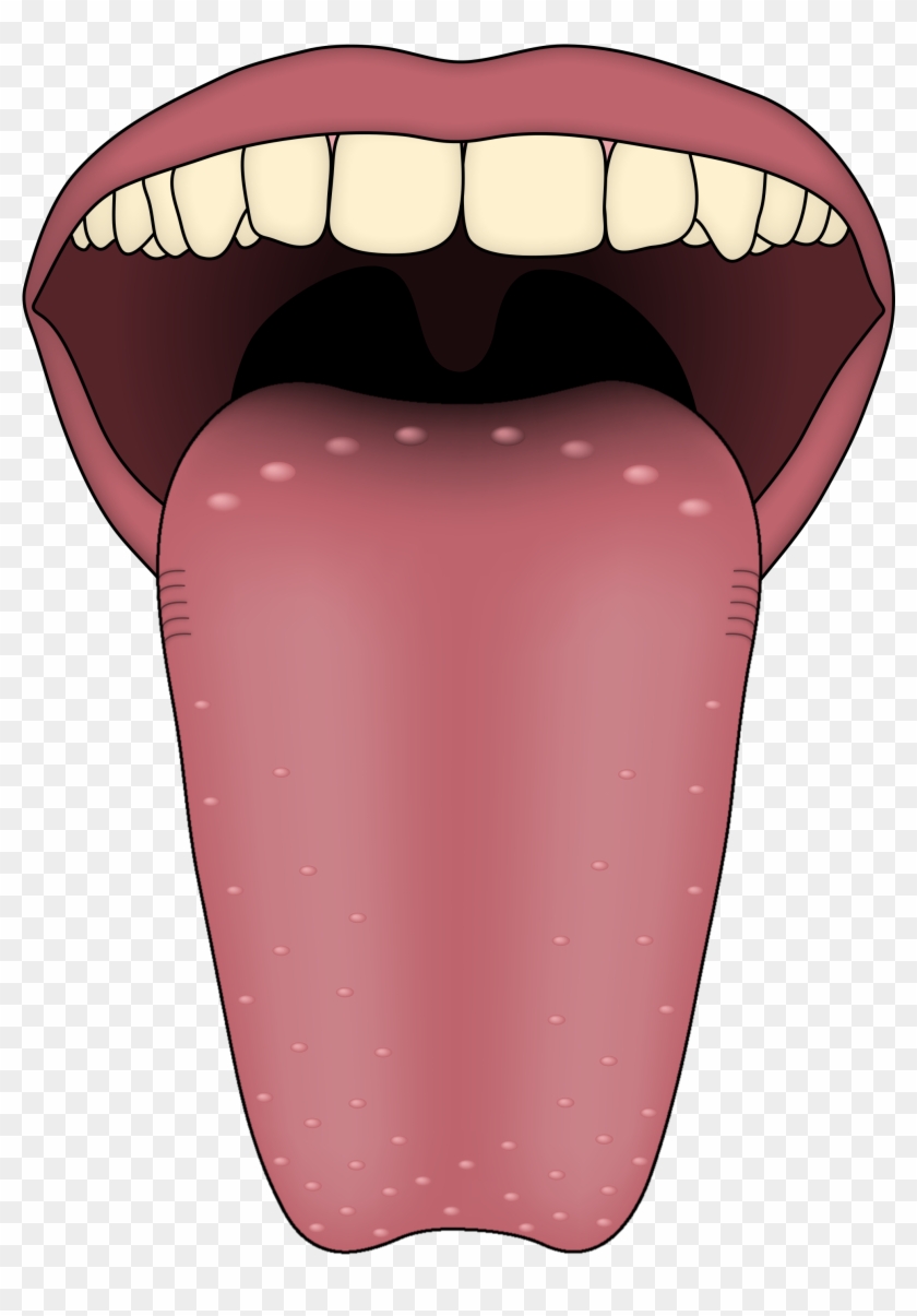 human-tongue-does-it-mean-if-you-have-spots-on-your-t-hd-png-download-2000x2774-337472