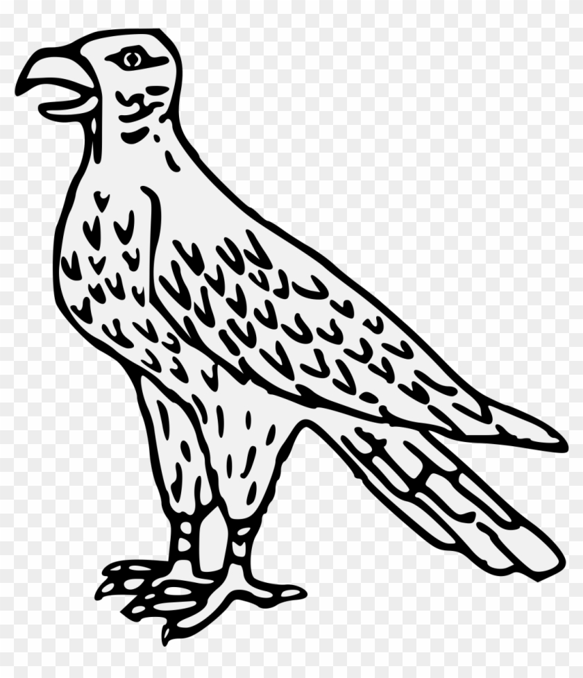 Details, Png - Buzzard, Transparent Png - 1068x1211(#339472) - PngFind