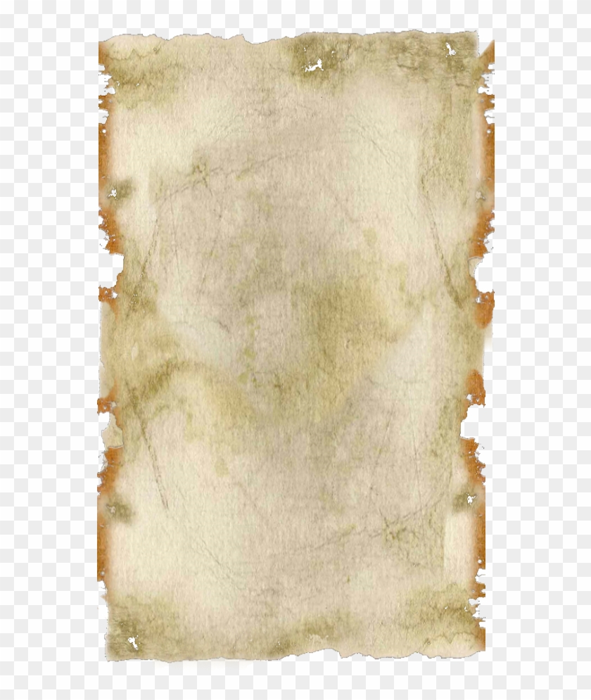 Xk - Pergament Paper Png, Transparent Png - 595x970(#339588) - PngFind