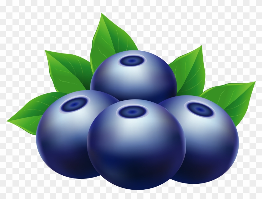 Clip Art Blueberry Png, Transparent Png - 8000x5754(#339754) - PngFind