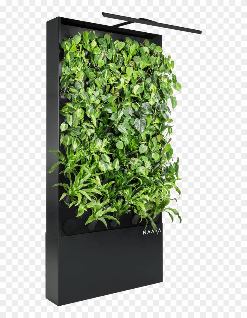 Naava One Slim Graphite Black Oblique Vertical Garden - Houseplant, HD ...