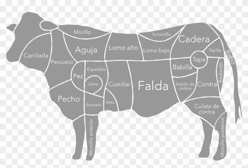 Piezas Carne Vacuno, Vaca, Buey, Cocina - Despiece De Vacuno Cuarto ...