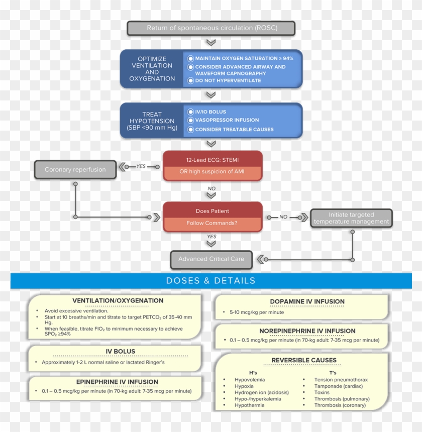 Post-cardiac Arrest Care Acls Algorithm - Post Cardiac Arrest Algorithm ...