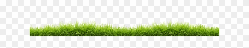 Lawn Clipart Grass Line - Lawn, HD Png Download - 640x480(#3348868 ...