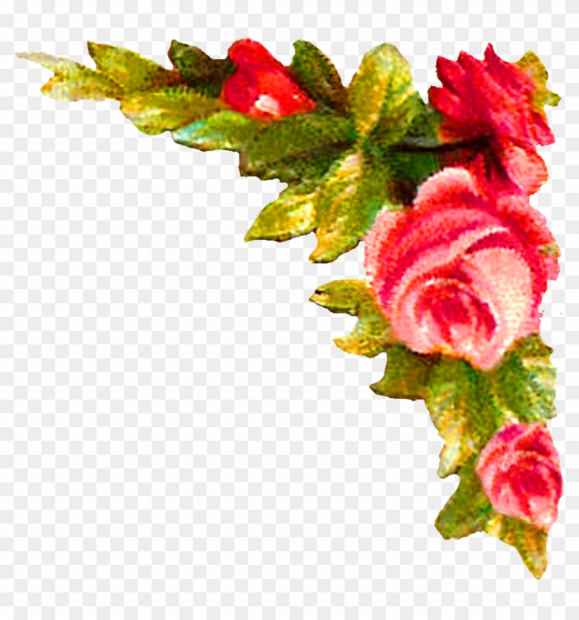 Rose Corner Design Illustration - Corner Design Images Png, Transparent ...