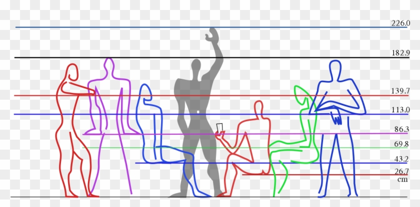 File - Modulor Measurements - Svg - El Modulor De Le Corbusier, HD Png ...