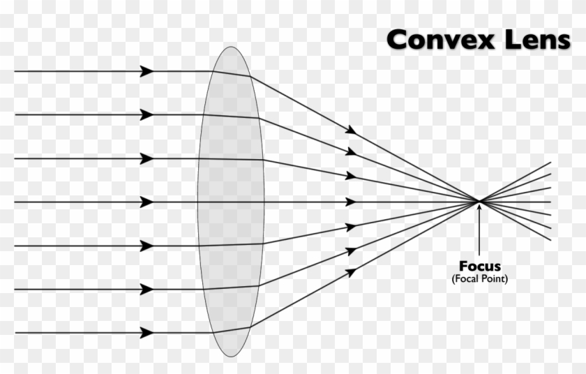 For A Convex Lens Light Rays Parallel And Close To - Simple Convex Lens ...