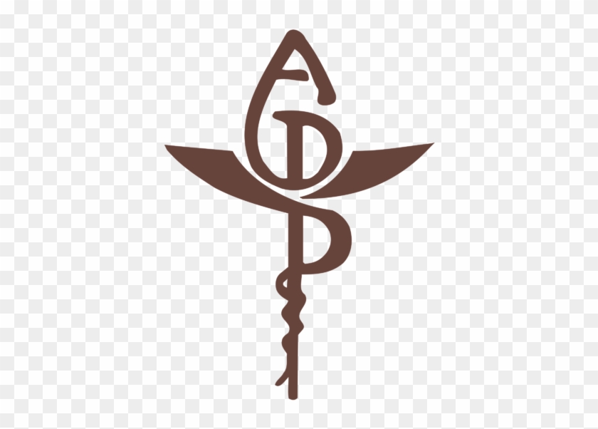 Adp Logos, HD Png Download - 800x600(#3424637) - PngFind