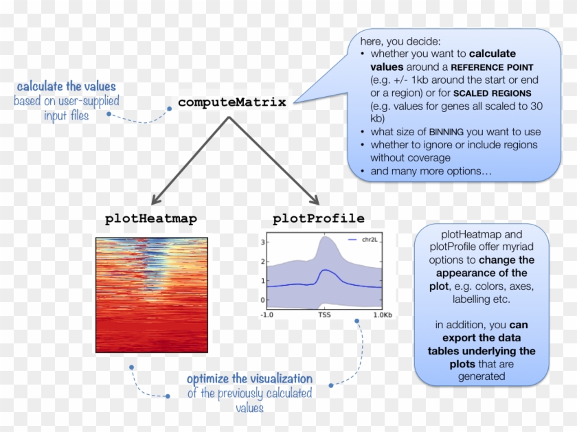 Relationship Between Computematrix Heatmapper And Deeptools