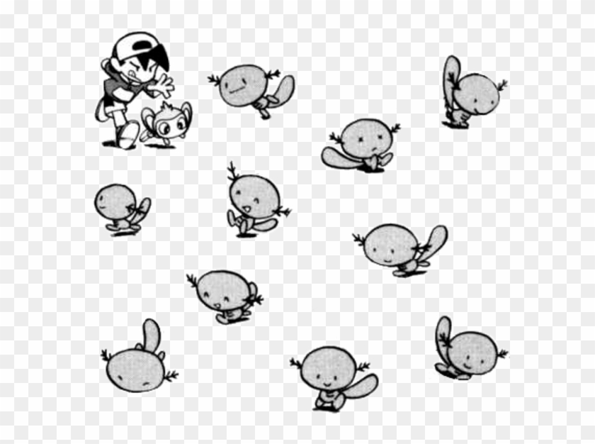 Pokémon - Wooper - Cartoon, HD Png Download - 600x546(#3438040) - PngFind