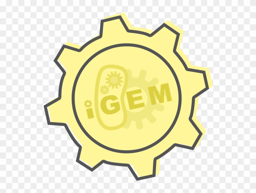 Silver - Circle, HD Png Download - 600x600(#3465116) - PngFind