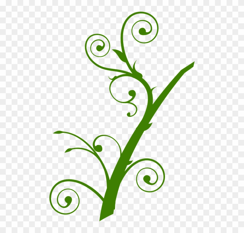 Ramas Verdes Vectores Png - Tree Branch Clip Art, Transparent Png ...