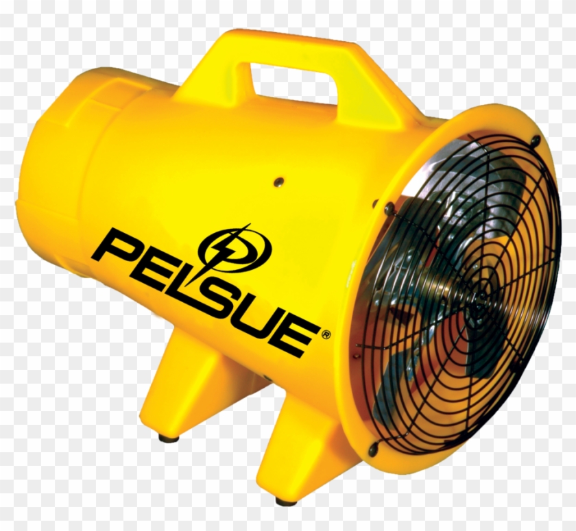 Pelsue, HD Png Download - 1024x966(#3483702) - PngFind