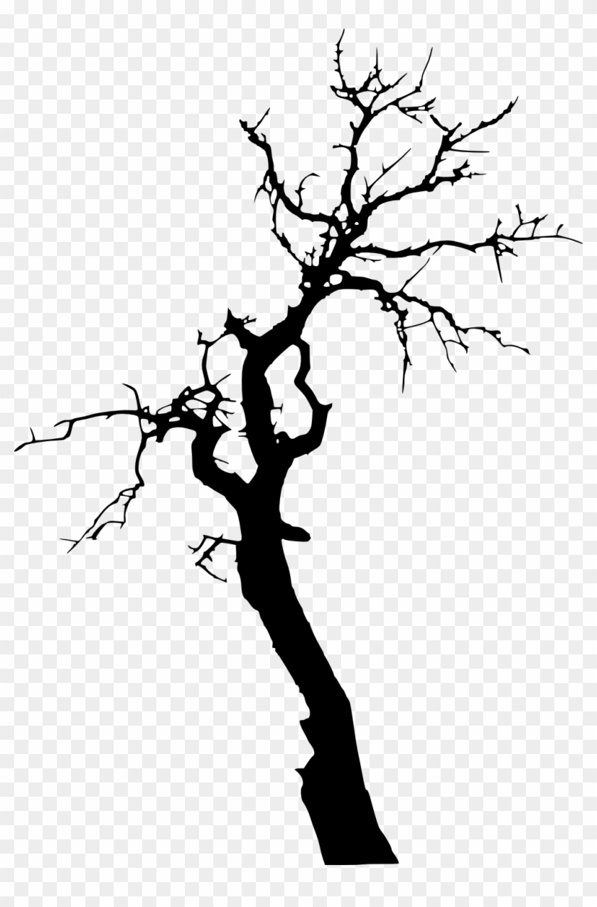 1020 X 1500 9 - Black Dead Tree Png, Transparent Png - 1020x1500 ...
