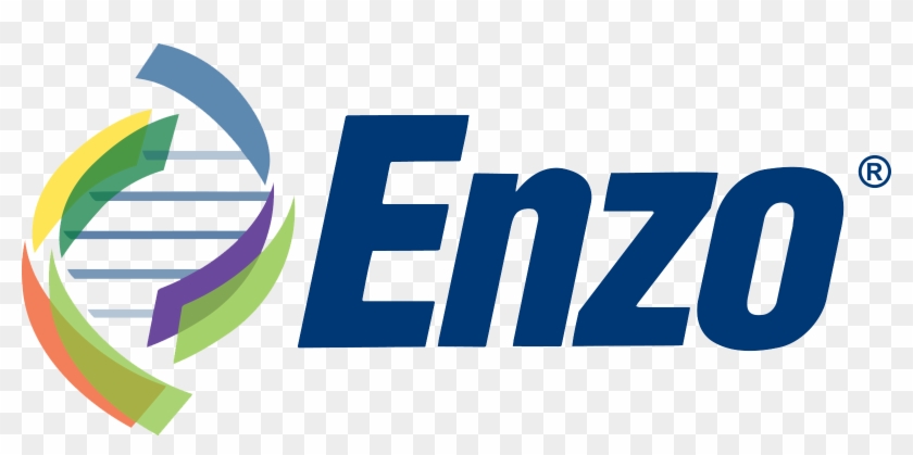Enzo Logo - Enzo Life Sciences Logo, HD Png Download - 1600x722 ...