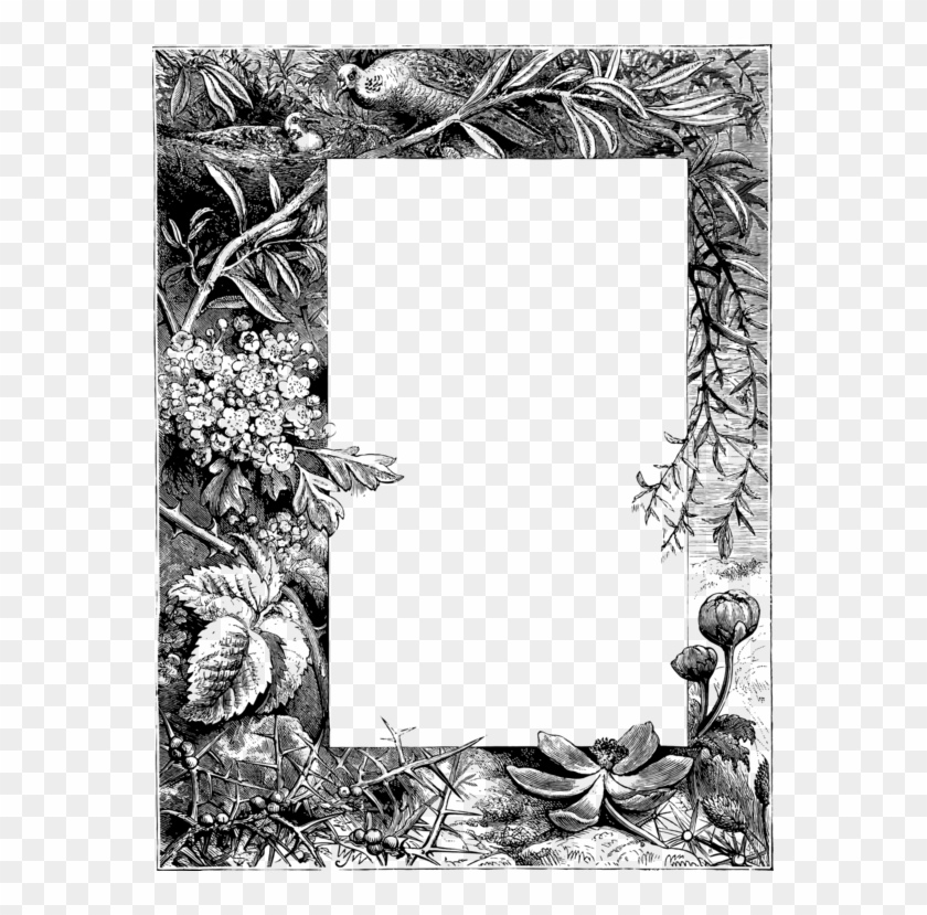 Book Of Shadows Wiccan Spells Incantation Witchcraft - Page Borders On ...