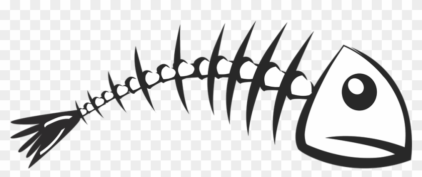 Fishbone Graphic, HD Png Download - 960x480(#3534014) - PngFind