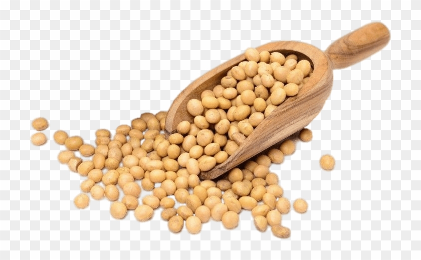 Food - Soy Png, Transparent Png - 750x480(#3548063) - PngFind