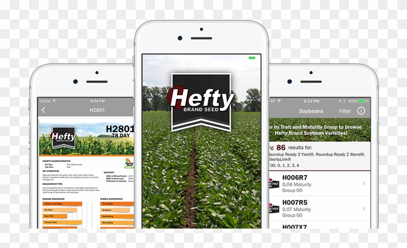 Browse Hefty Seed Soybean Or Corn Varieties, Browse - Iphone, HD Png ...