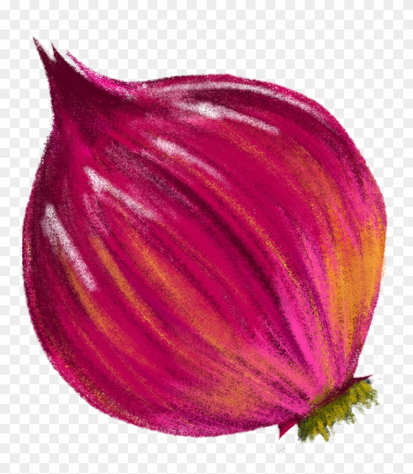 Animated Onion