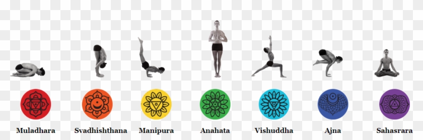 Chakra Poses - Illustration, HD Png Download - 1053x299(#3623090) - PngFind