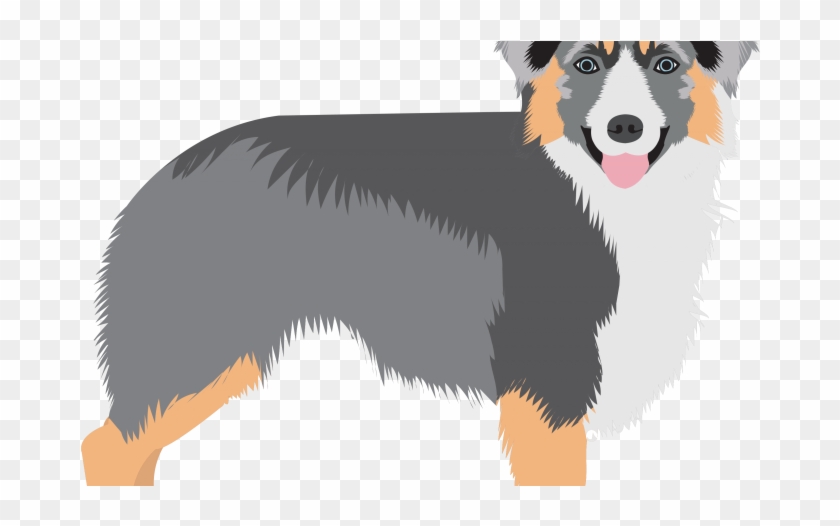 Canadian Kennel Club Reveals Surprise Addition To Canada's - Shetland ...