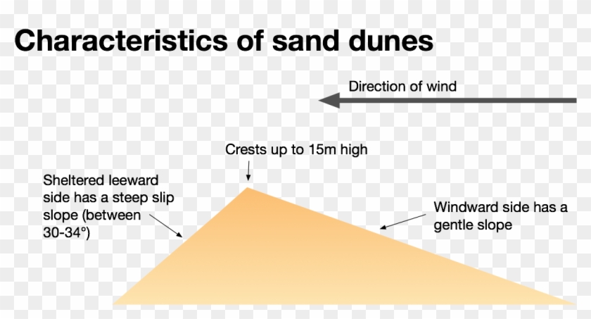 The Characteristics Of Sand Dunes - Sand Dune Diagram, HD Png Download - 1180x641(#3659492 ...