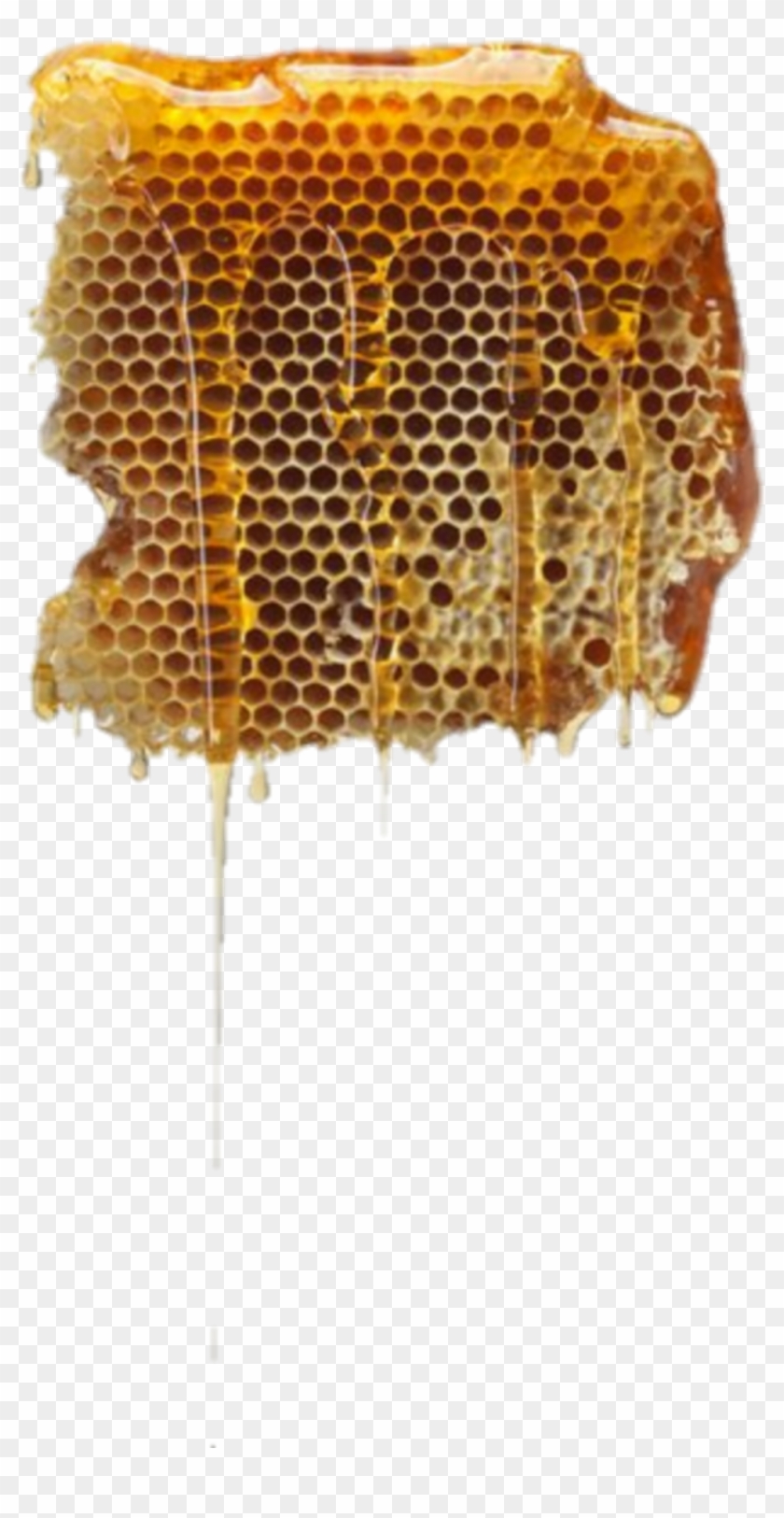 Honey Sticker - Honeycomb, HD Png Download - 1024x1917(#3664125) - PngFind