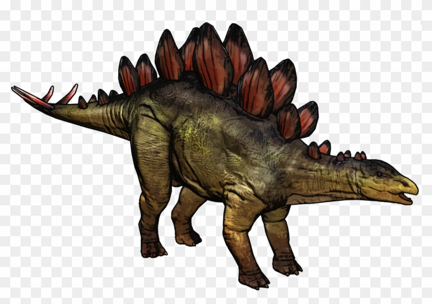 Stegosaurus Png Photos - Stegosaurus Png, Transparent Png - 1232x812 ...