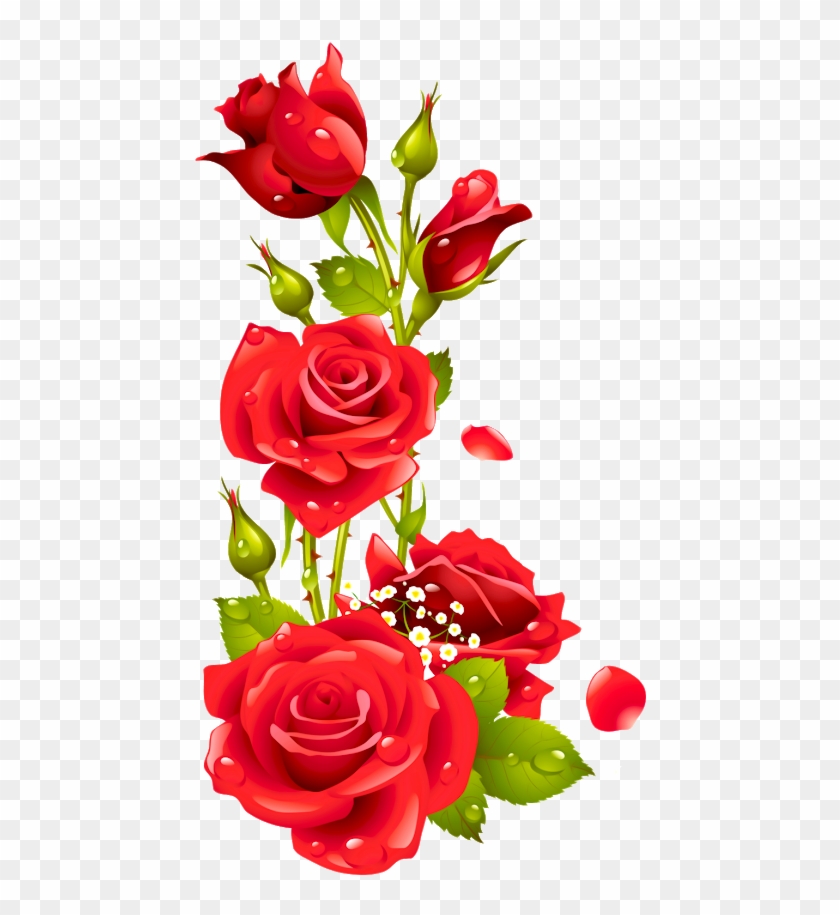Flores En Formato Png - Rose Flower Design Border Png, Transparent Png ... Flores En Formato Png - Rose Flower Design Border Png, Transparent Png ...