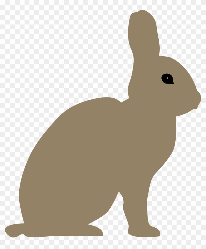 Vector Graphics,free Pictures, Free - Grey Bunny Rabbit Clipart ...