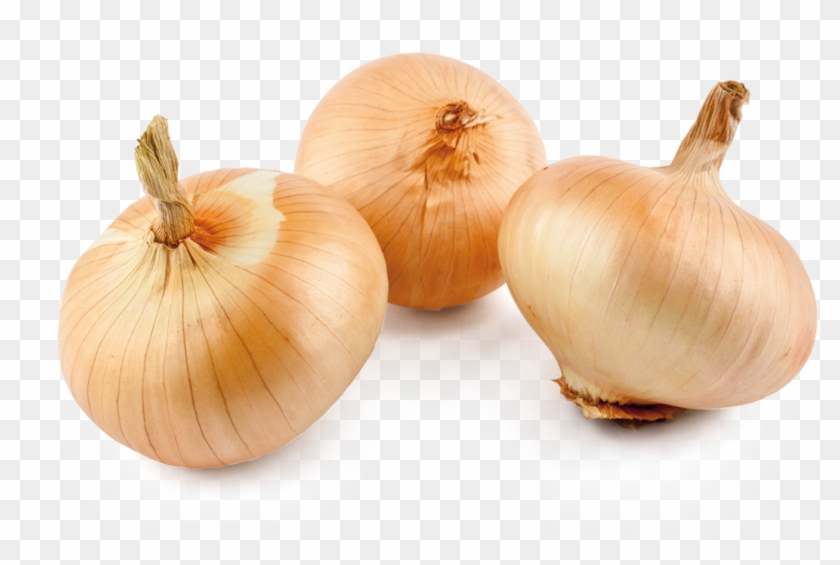 Cebolla Dulce , Png Download - Para Que Sirve La Cebolla Amarilla ...