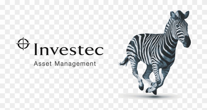 Investec Asset Management Is Well Positioned To Take - Investec Bank ...