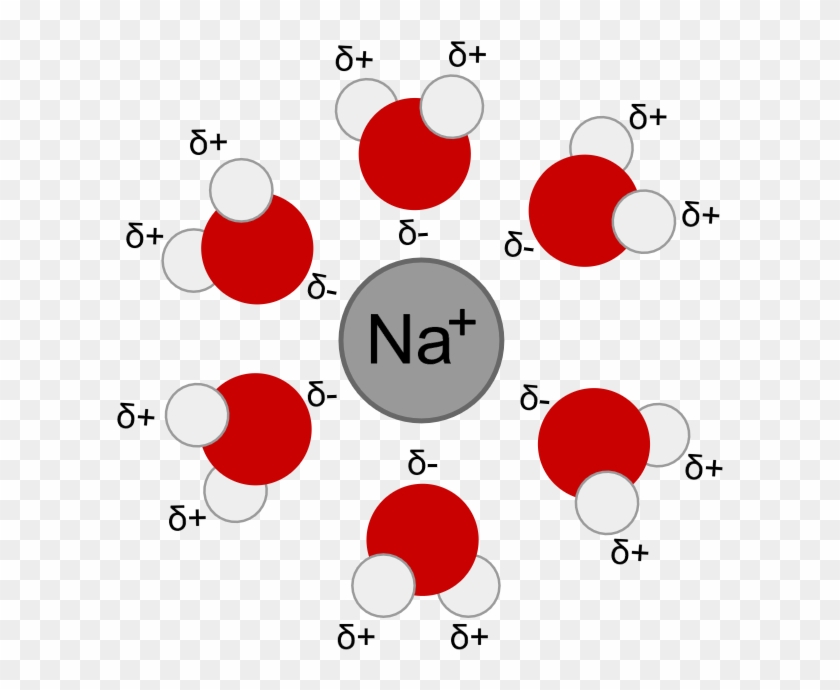 Hydrated Na H2o Cation - Nacl In Water, HD Png Download - 673x673(#3769391) - PngFind