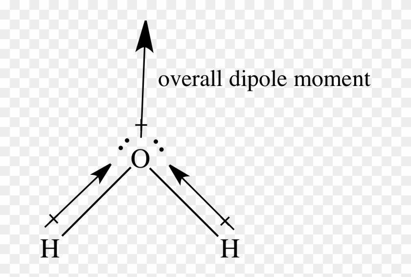 In The Case Of Water, The Two Bond Dipoles Arrows Are - Net Dipole ...