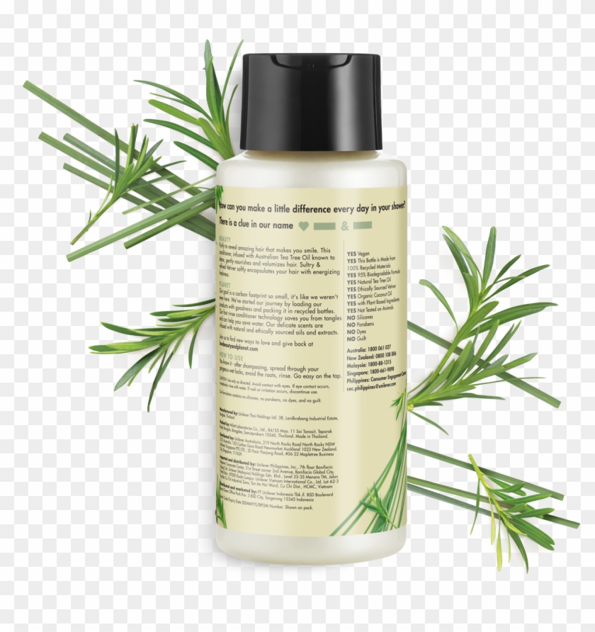 Tea Tree Oil Oil, HD Png Download - 1500x1500(#3781463) - PngFind