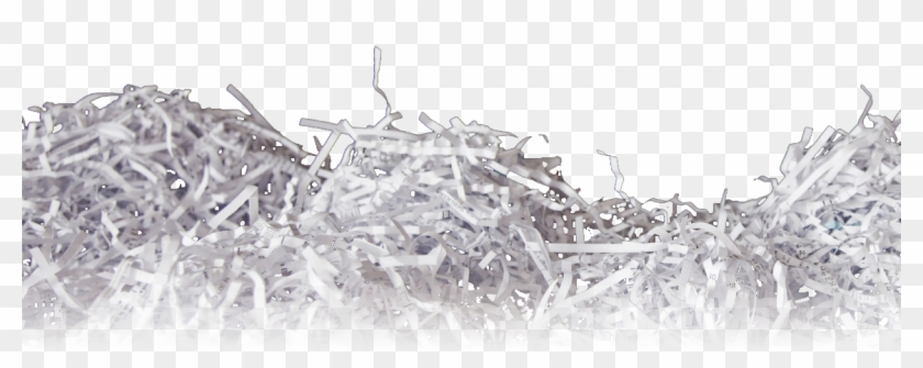 Document Shredding Service Tempe Az - Transparent Shredded Paper Png ...