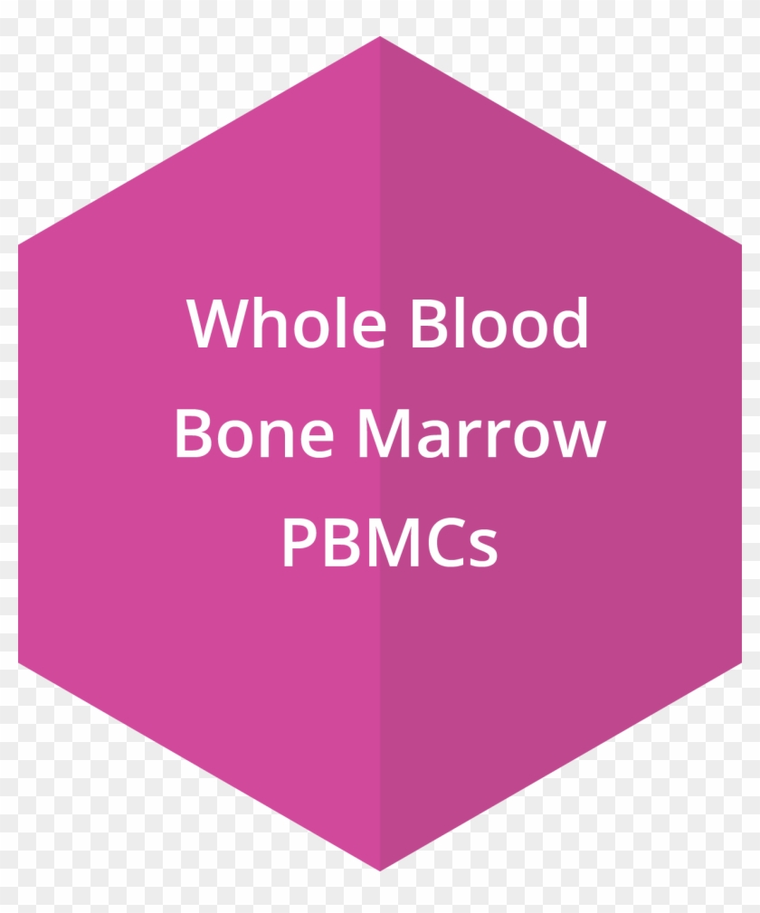 Whole Blood, Bone Marrow, Pbmcs - Graphic Design, HD Png Download ...